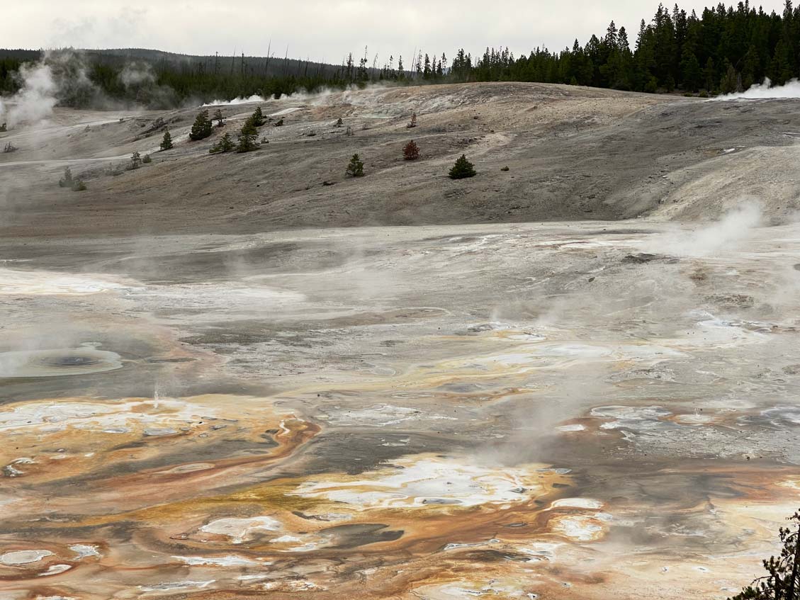Yellowstone Nationalpark: Die 17 besten Highlights + Route